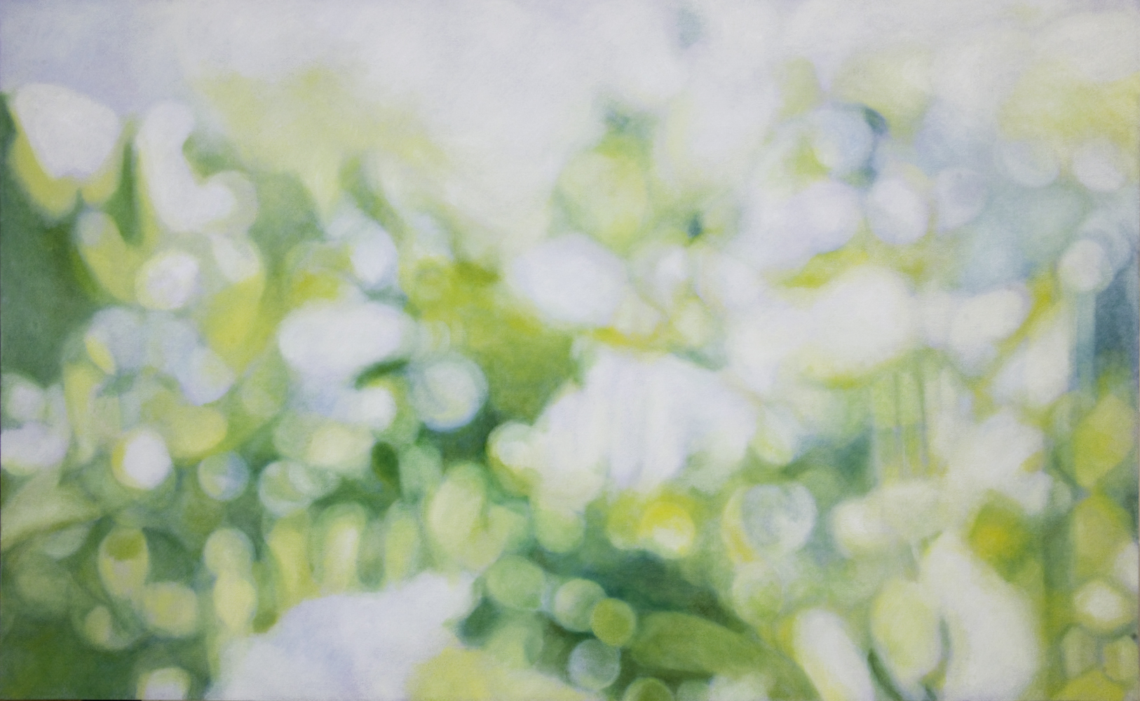 Bio | Yuko Kawada Official Site